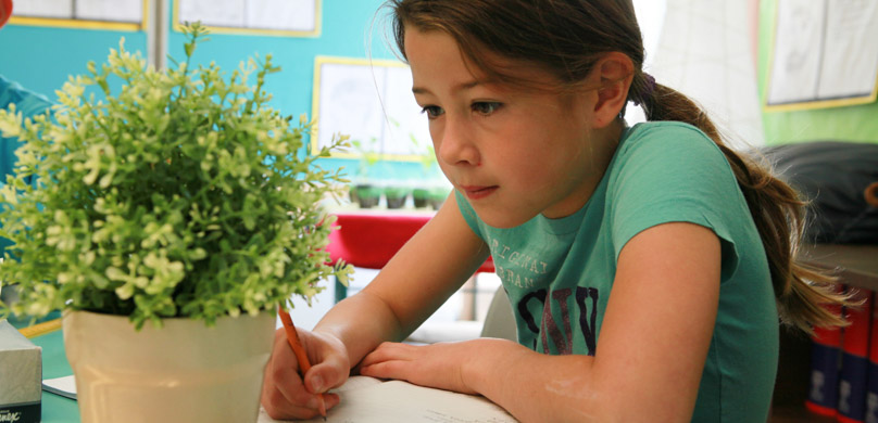 Health & Well-Being - Varsity Acres School